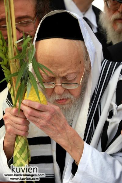 Baltimore Jewish Life | Rav Elyashiv's, ZTL, Rulings on Sukkos and the ...